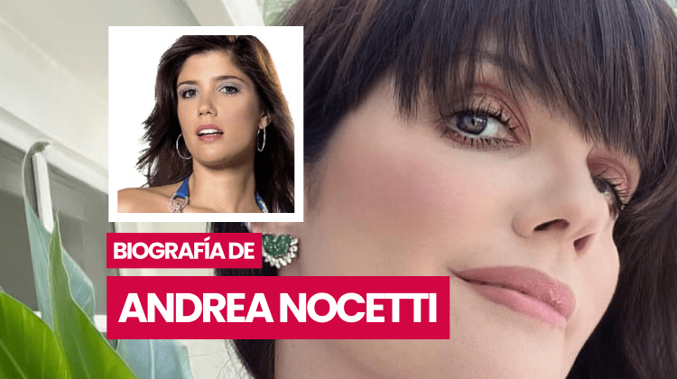 Biografía de Andrea Nocetti ️ - Novelapolis